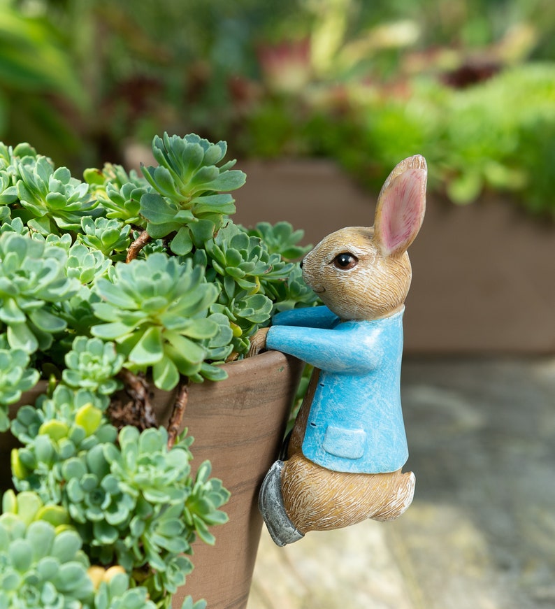 Peter Rabbit, Beatrix Potter, Pot Buddy, Pot Hanger, Gift Boxed ...