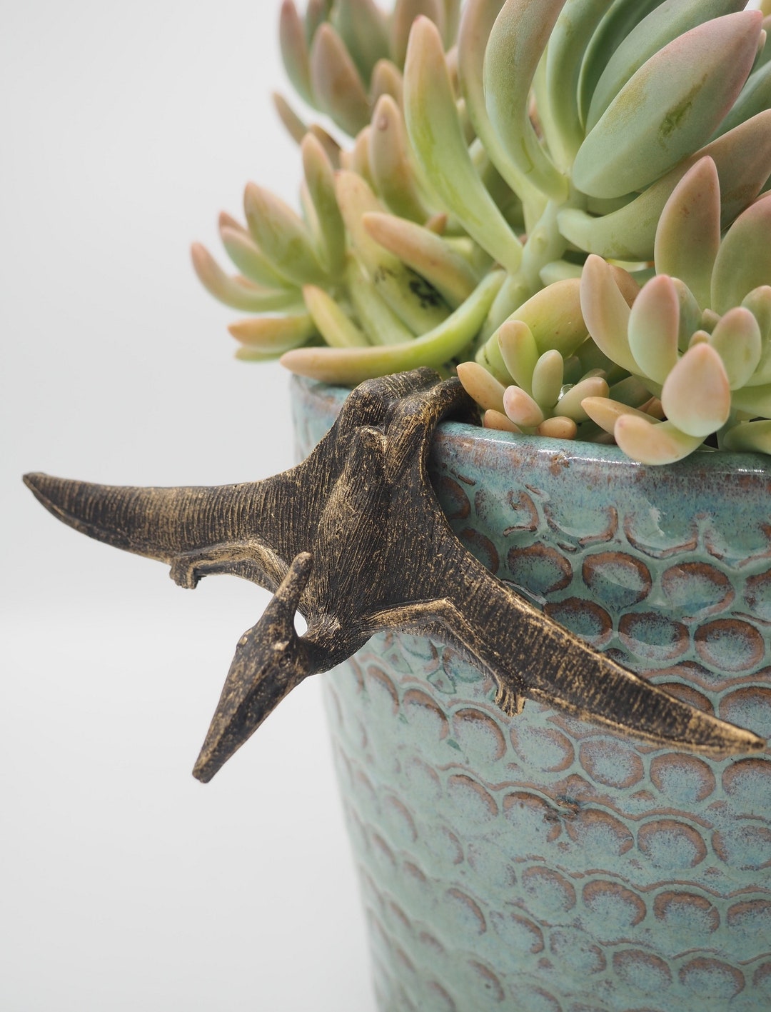 Pteranodon Pot Buddy: Dinosaur Planter Hanger, Garden Ornament - Etsy