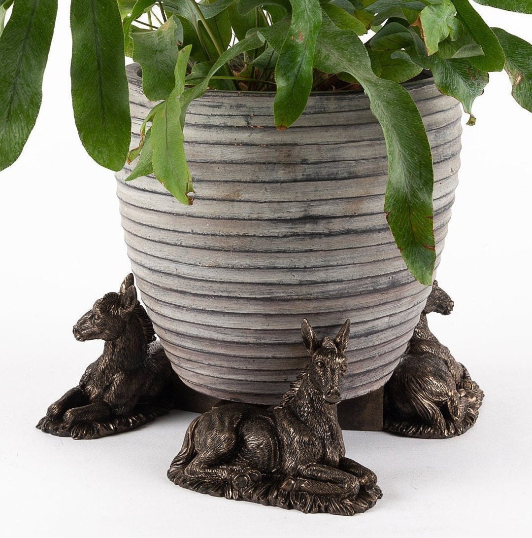 Antique Bronze Donkey Foal Plant Pot Feet - Set of 3 | Handcrafted ...