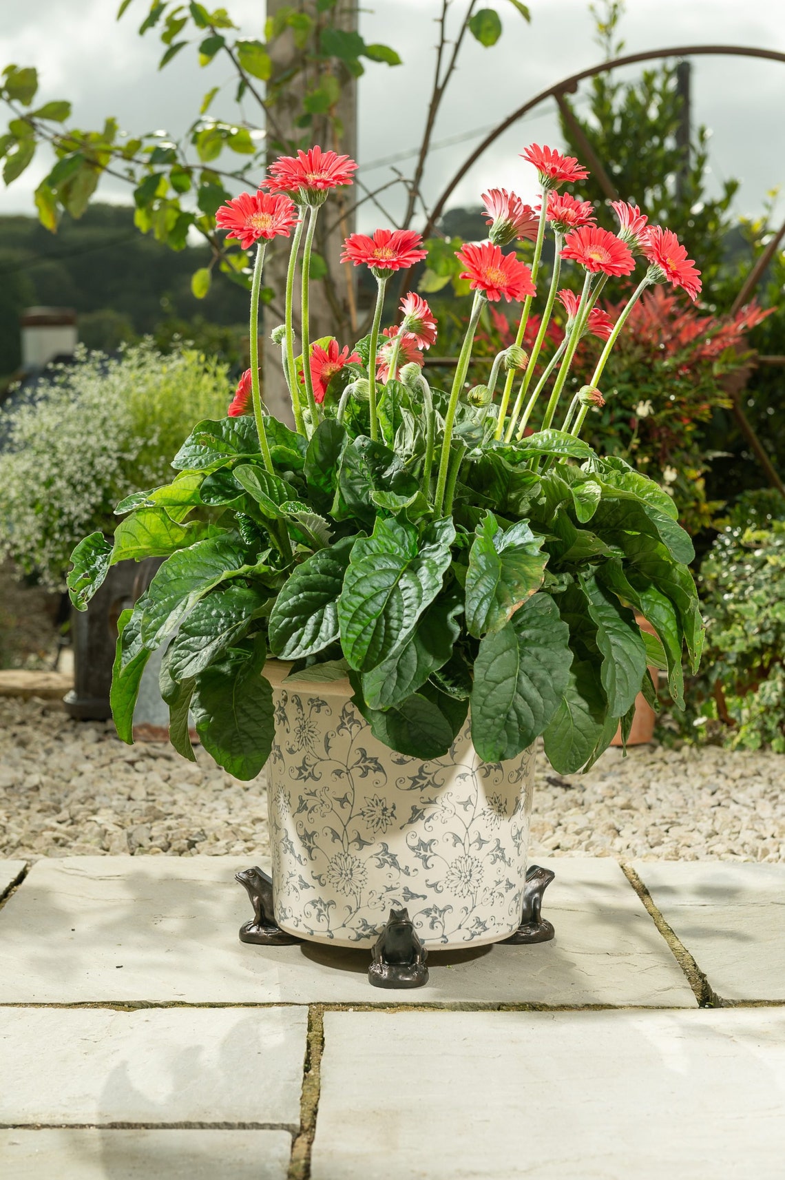 Frog Potty Feet & Pot Buddy Bundle: Antique Style Plant Pot Stand - Etsy
