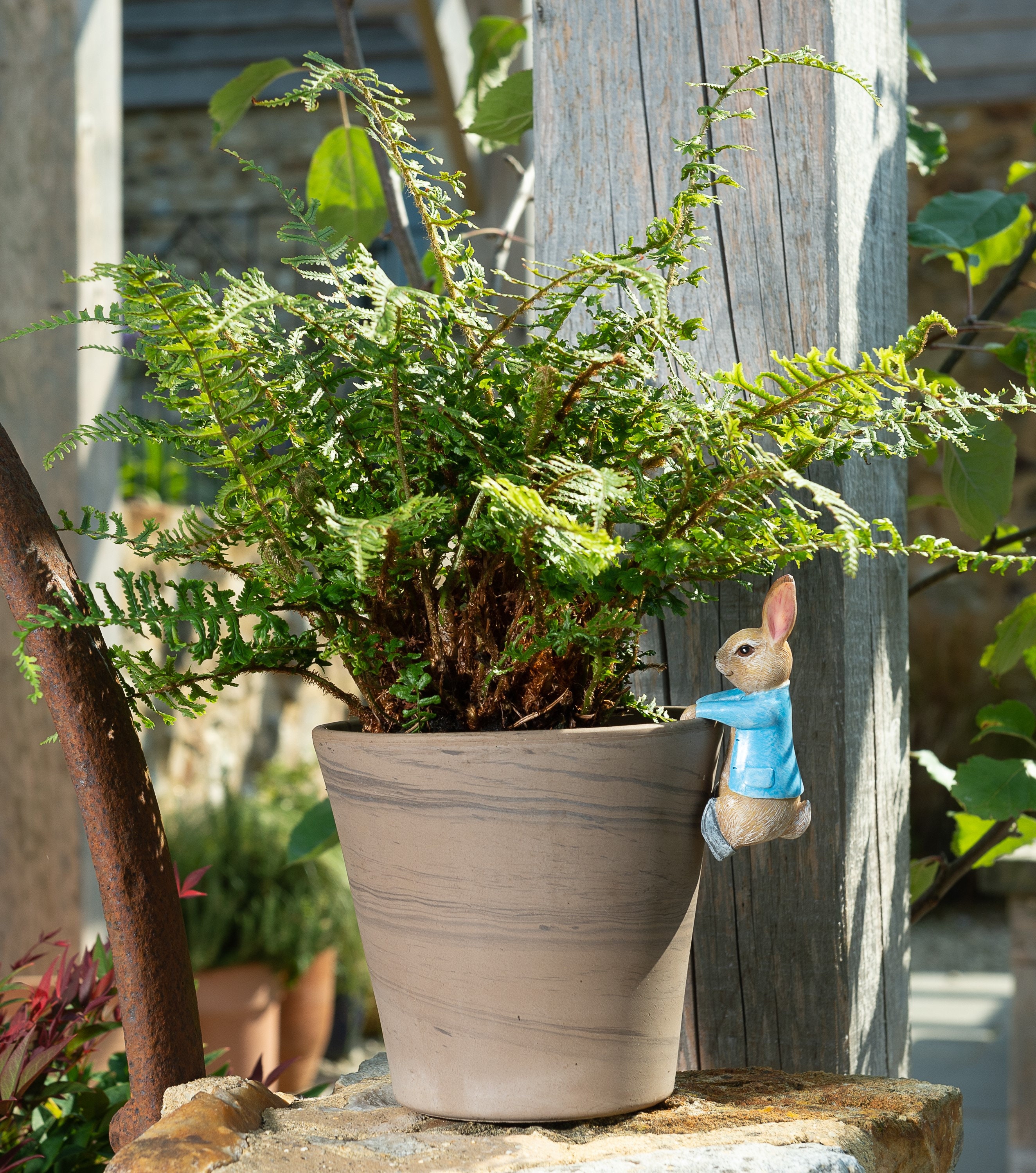Peter Rabbit, Beatrix Potter, Pot Buddy, Pot Hanger, Gift Boxed ...