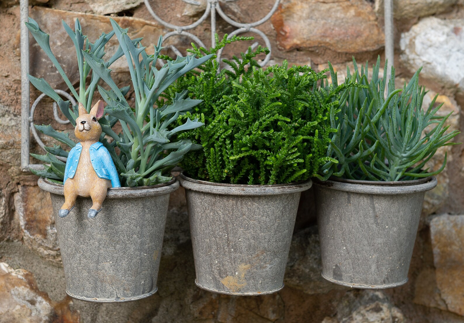 Peter Rabbit Pot Buddy Pot Hanger - Beatrix Potter - Gift Boxed Pot ...