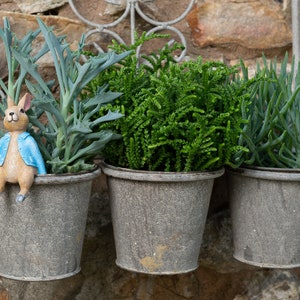 Peter Rabbit Pot Buddy Pot Hanger - Beatrix Potter - Gift Boxed Pot ...