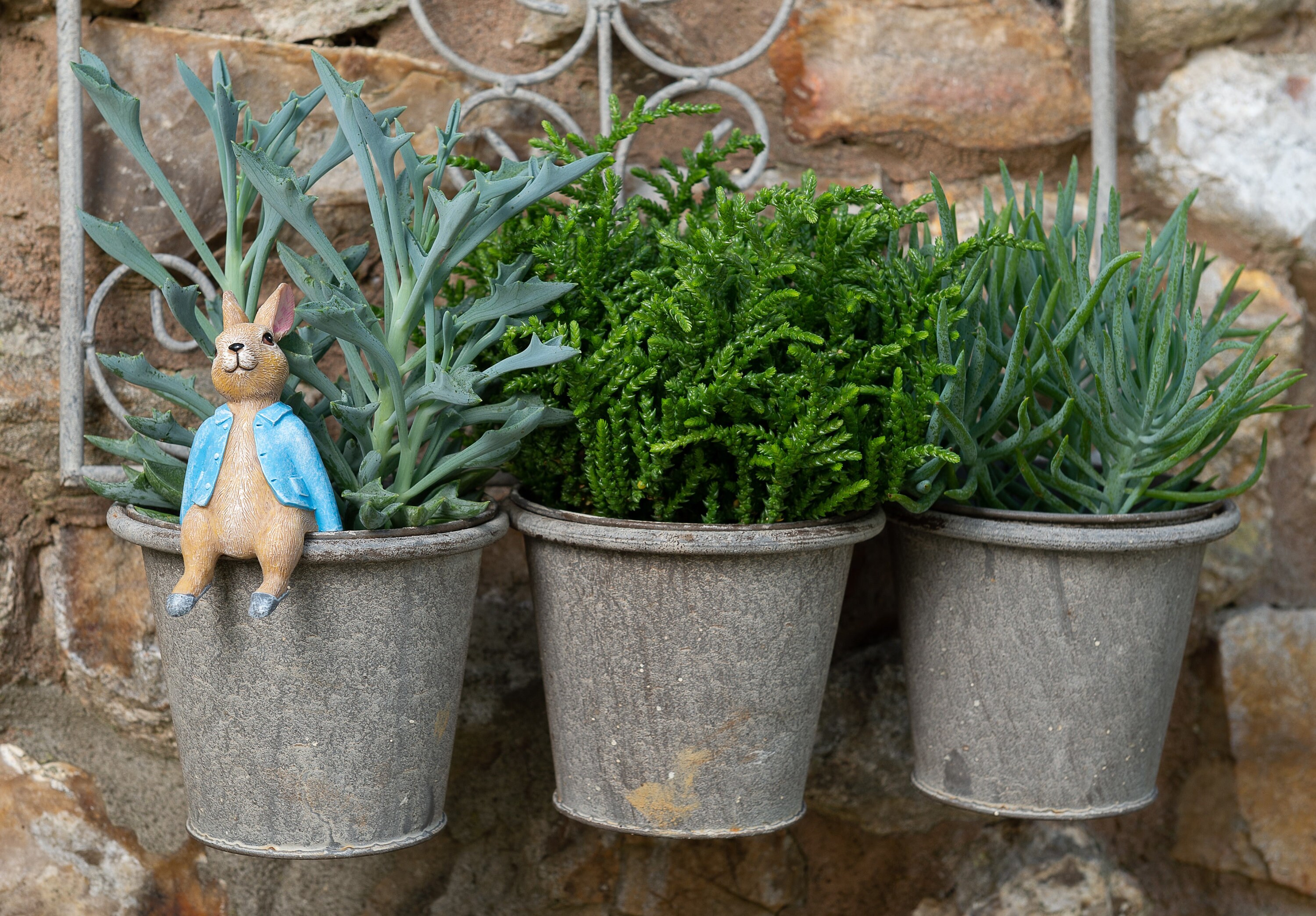 Peter Rabbit Pot Buddy Pot Hanger Beatrix Potter Gift | Etsy