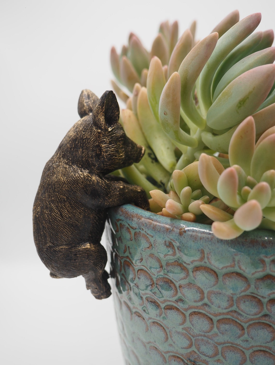 Pig Pot Buddies Plant Hanger - Etsy