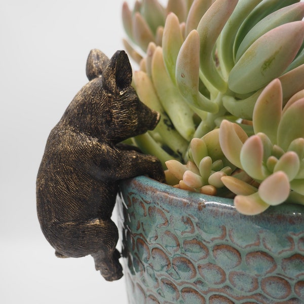Pig Planter - Etsy