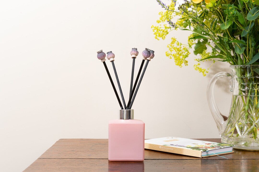 Poppy Seed Heads Diffuser Decor Reed Decoration - Set of 5 - Etsy
