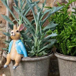 Peter Rabbit Pot Buddy Pot Hanger - Beatrix Potter - Gift Boxed Pot ...