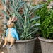 Peter Rabbit Pot Buddy Pot Hanger Beatrix Potter Gift Boxed Pot Buddies ...