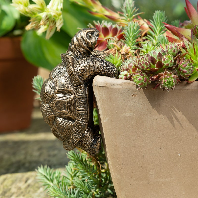 Tortoise Gifts - 60+ Gift Ideas for 2025