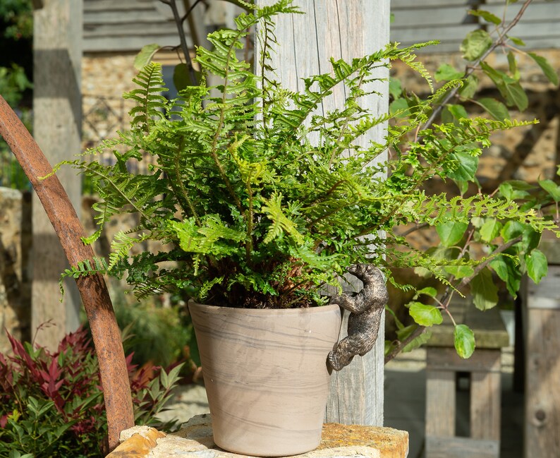 Charming Polar Bear Pot Buddy | Garden & Home Decor | British Design - Etsy