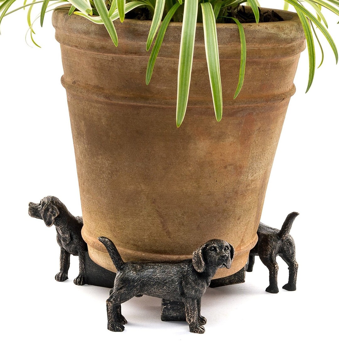 Bronze Beagle Potty Feet: Antique Garden Decor, Set of 3 - Etsy