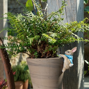 Peter Rabbit Pot Buddy - Beatrix Potter Peter Rabbit Pot Hanger - Gift ...