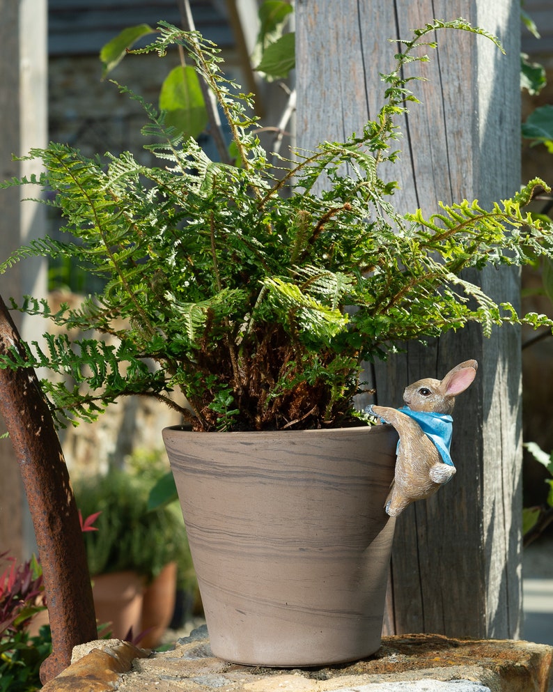 Peter Rabbit Pot Buddy - Beatrix Potter Peter Rabbit Pot Hanger - Gift ...