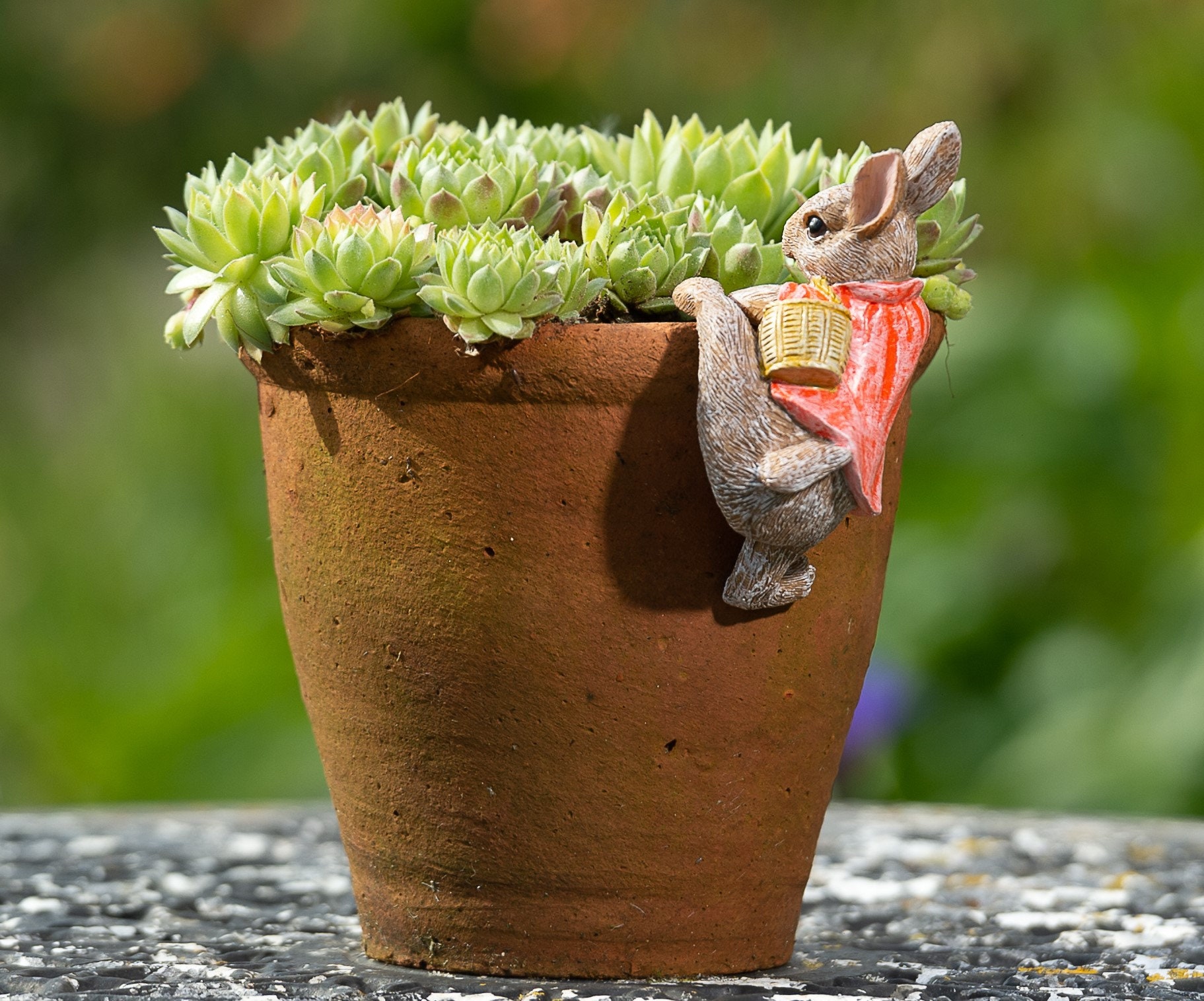 Beatrix Potter Flopsy Bunny Peter Rabbit Pot Buddy Plant Pot - Etsy