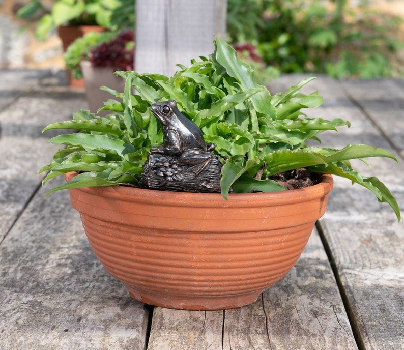 Frog on Log Feeder Friend Drip Feeder. Liquid Drip Feed Frog - Etsy UK