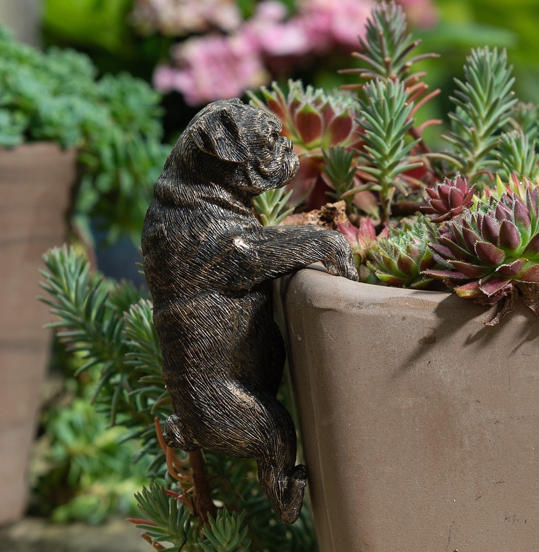 Charming Bronze Pug Pot Buddy | Garden & Home Accent | British Design ...