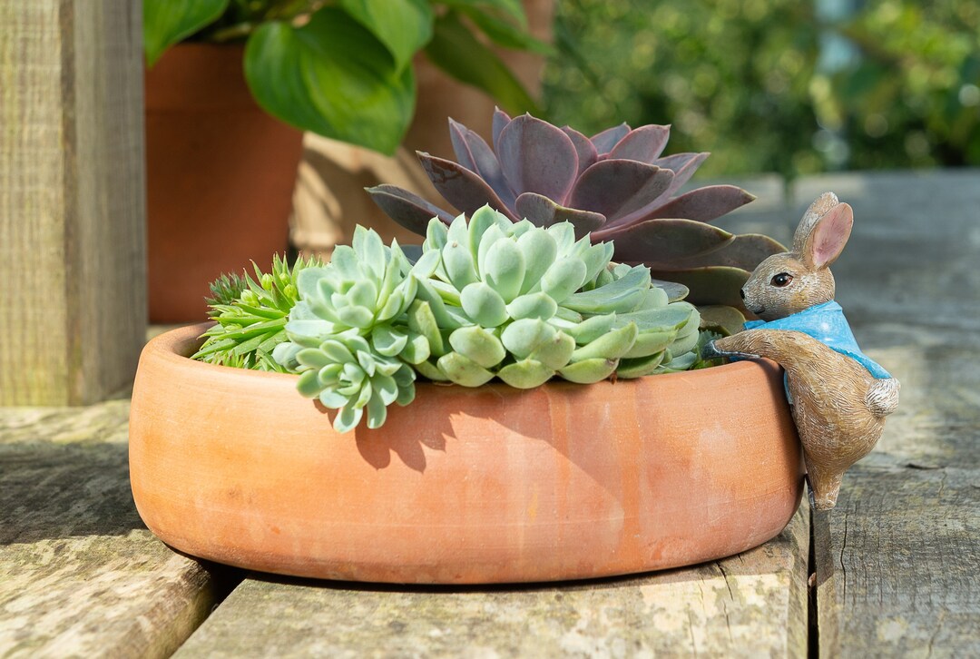 Peter Rabbit Pot Buddy - Beatrix Potter Peter Rabbit Pot Hanger - Gift ...