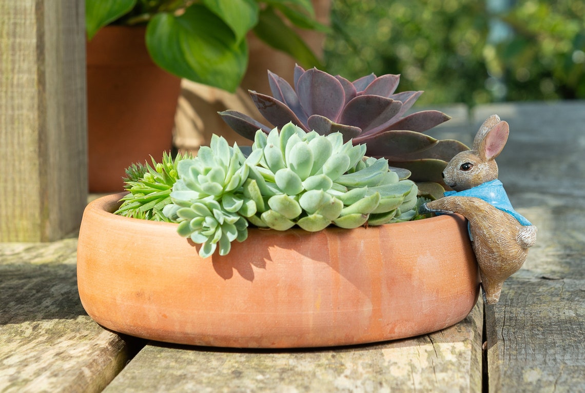 Peter Rabbit Pot Buddy - Beatrix Potter Peter Rabbit Pot Hanger - Gift ...