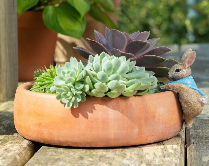 Peter Rabbit Pot Buddy Beatrix Potter Peter Rabbit Pot Hanger Gift ...