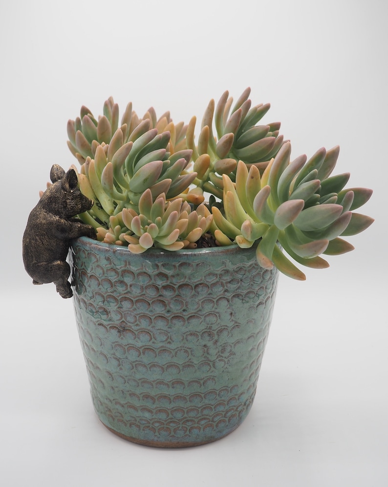 Pig Pot Buddies Plant Hanger - Etsy