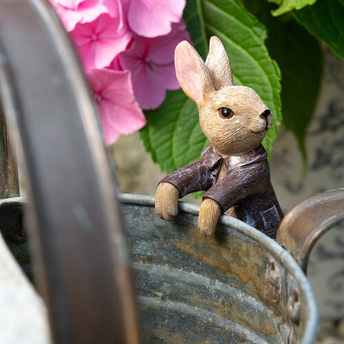 Peter Rabbit Pot Buddy Pot Hanger Beatrix Potter Gift - Etsy
