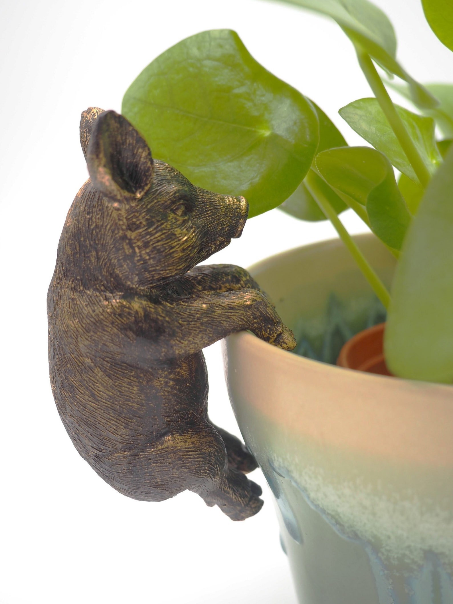 Pig Pot Buddies Plant Hanger - Etsy