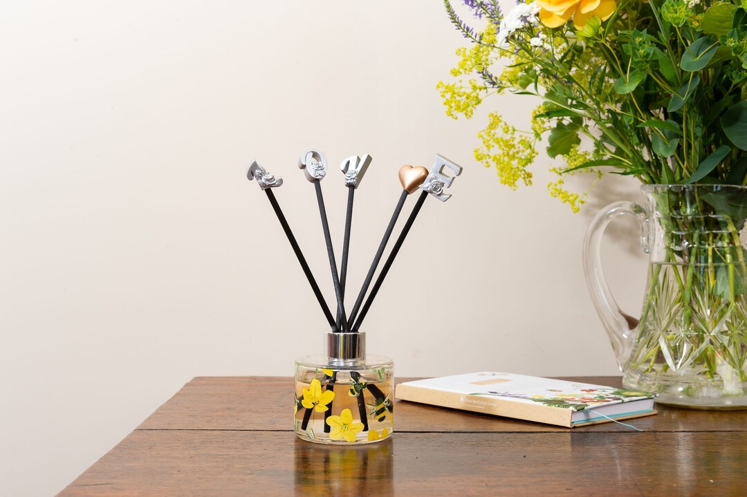 Love Reed Diffuser Set: Decorative Aromatherapy Diffuser Décor - Etsy