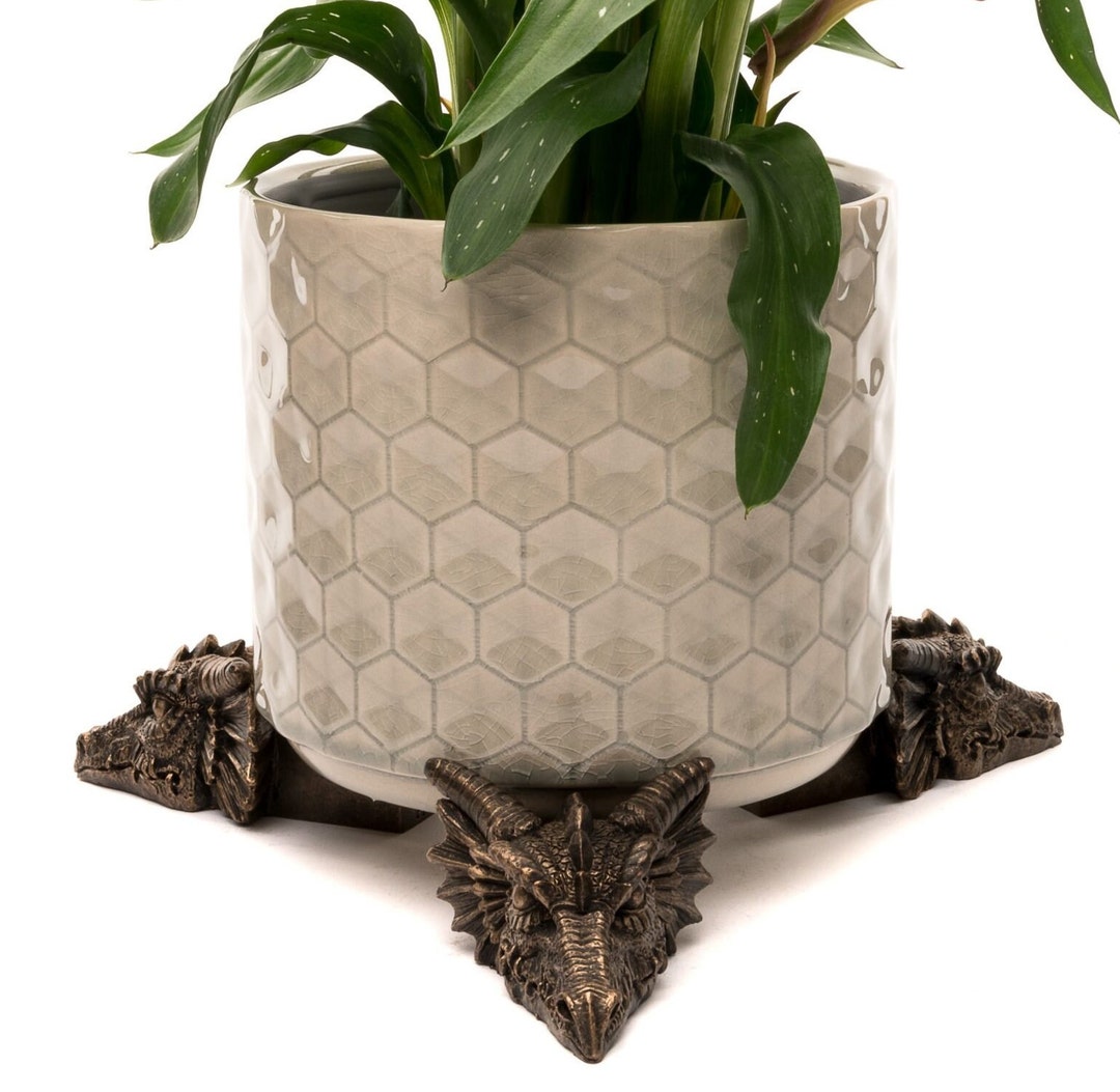 Bronze Dragon Plant Pot Feet Set of 3 | Mythical Home and Garden Decor ...