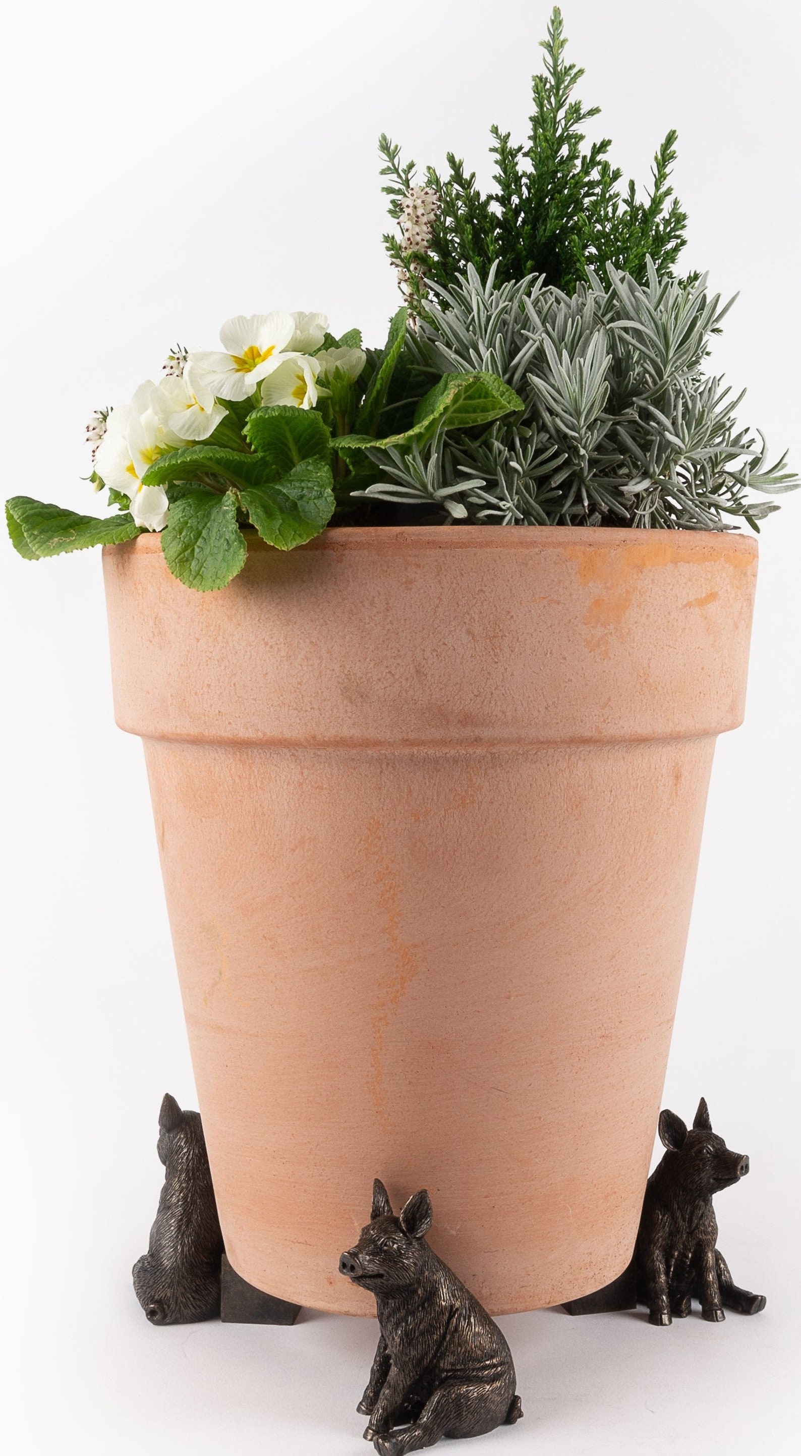 Antique Bronze Pig Plant Pot Feet Set of 3 | Garden Decor | US Market ...