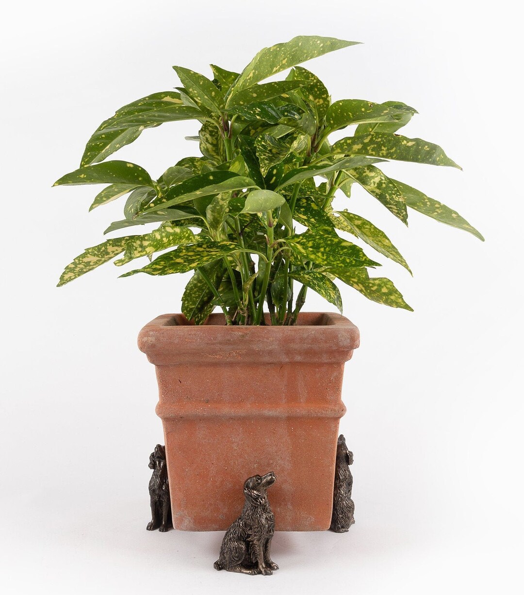 Bronze Coloured, Springer Spaniel, Potty Feet, Set of 3, Gift Boxed ...