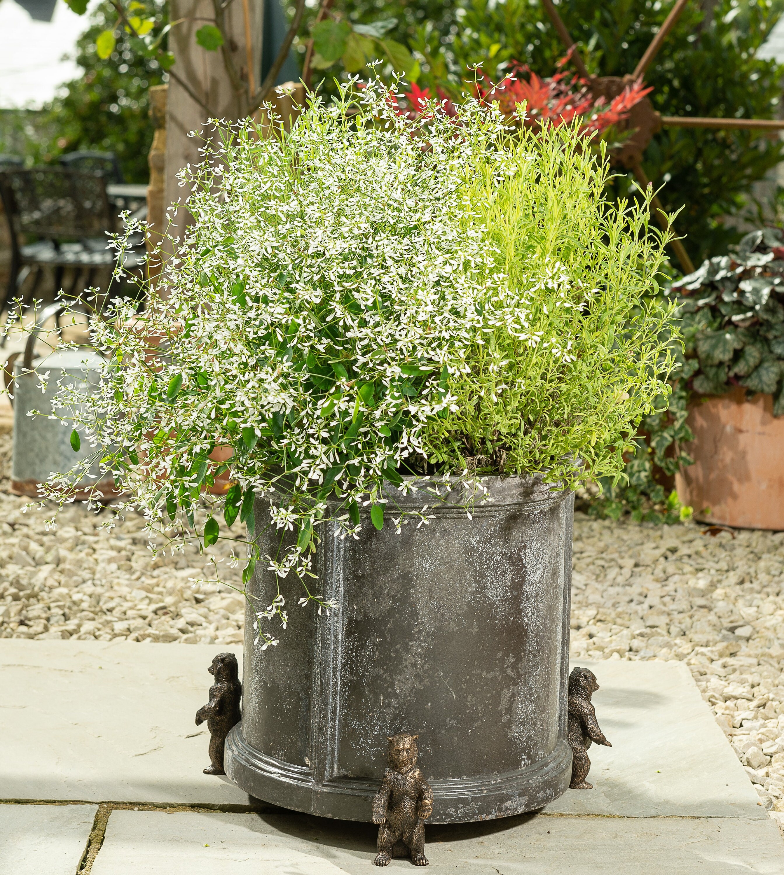 Antique Bronze Grizzly Bear Plant Pot Feet - Set of 3 | Handcrafted ...
