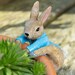 Peter Rabbit Pot Buddy Beatrix Potter Peter Rabbit Pot Hanger Gift ...