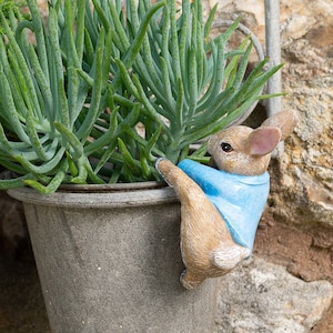 Peter Rabbit Pot Buddy - Beatrix Potter Peter Rabbit Pot Hanger - Gift ...