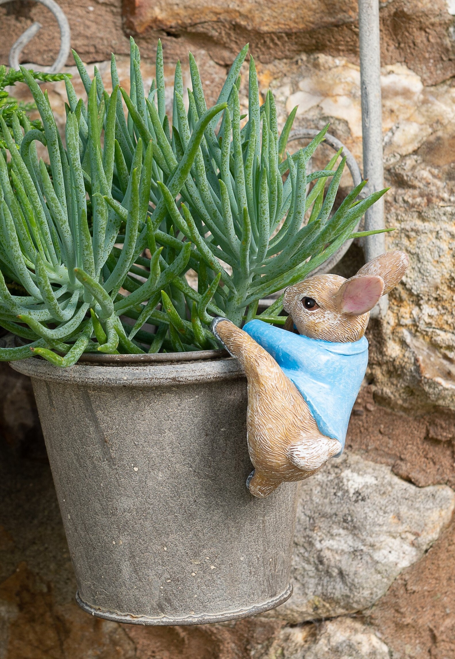 Peter Rabbit Pot Buddy - Beatrix Potter Peter Rabbit Pot Hanger - Gift ...