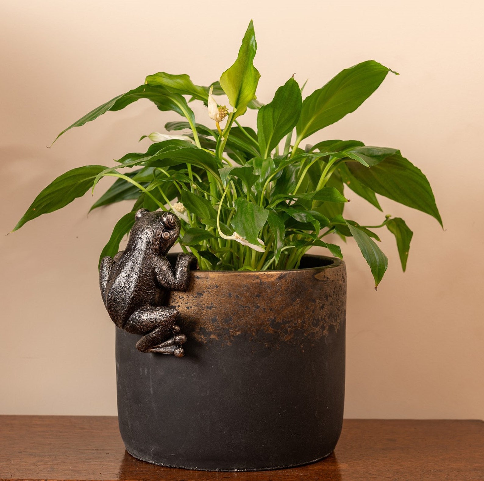 Charming Frog Pot Buddy Hanger | Whimsical Garden Decor - Etsy