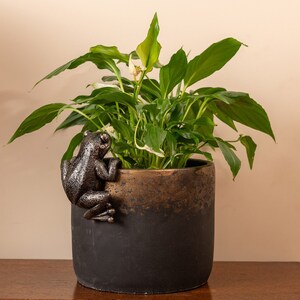 Charming Frog Pot Buddy Hanger | Whimsical Garden Decor - Etsy