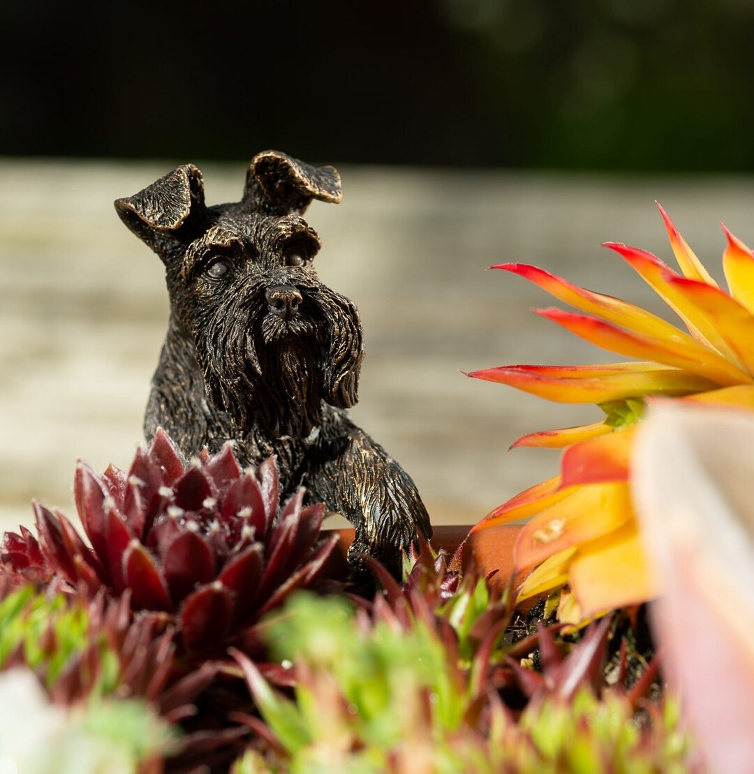 Adorable Schnauzer Pot Buddy | Garden & Home Accent | British Design - Etsy