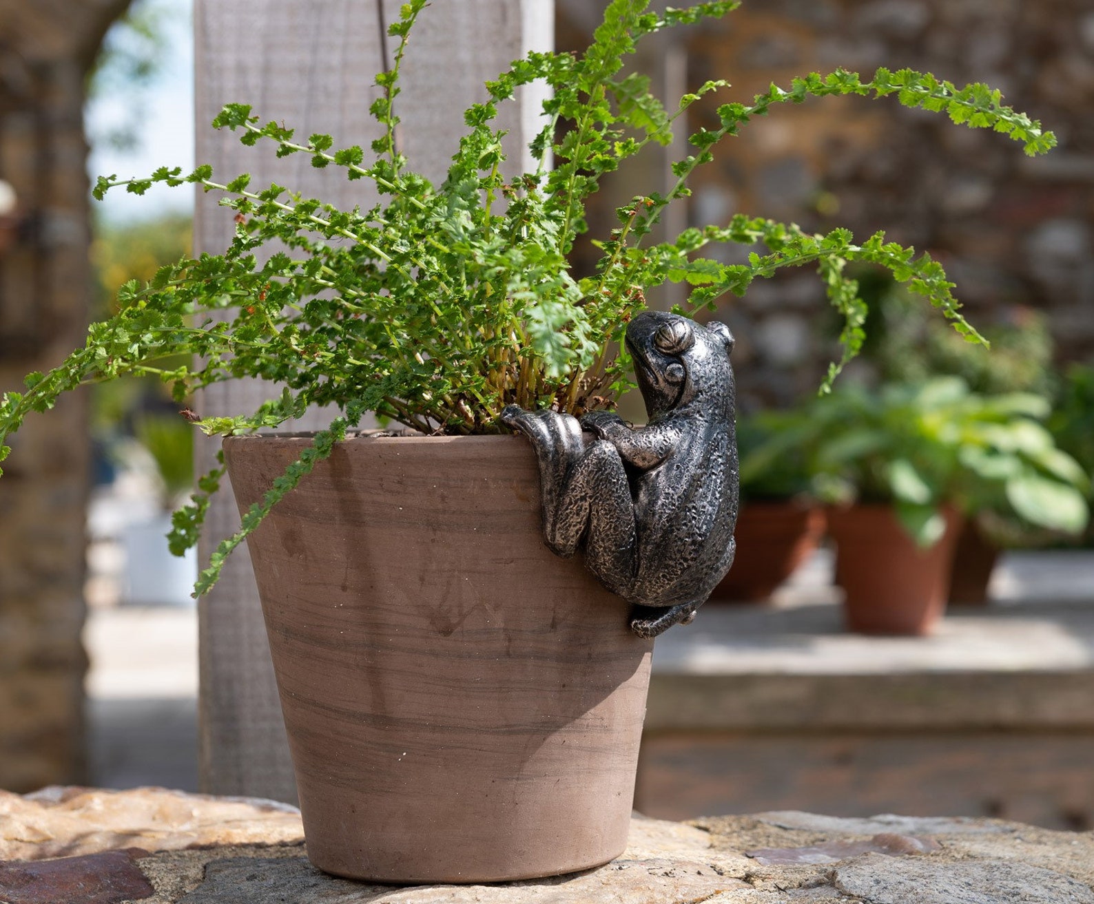 Charming Frog Pot Buddy Hanger | Whimsical Garden Decor - Etsy