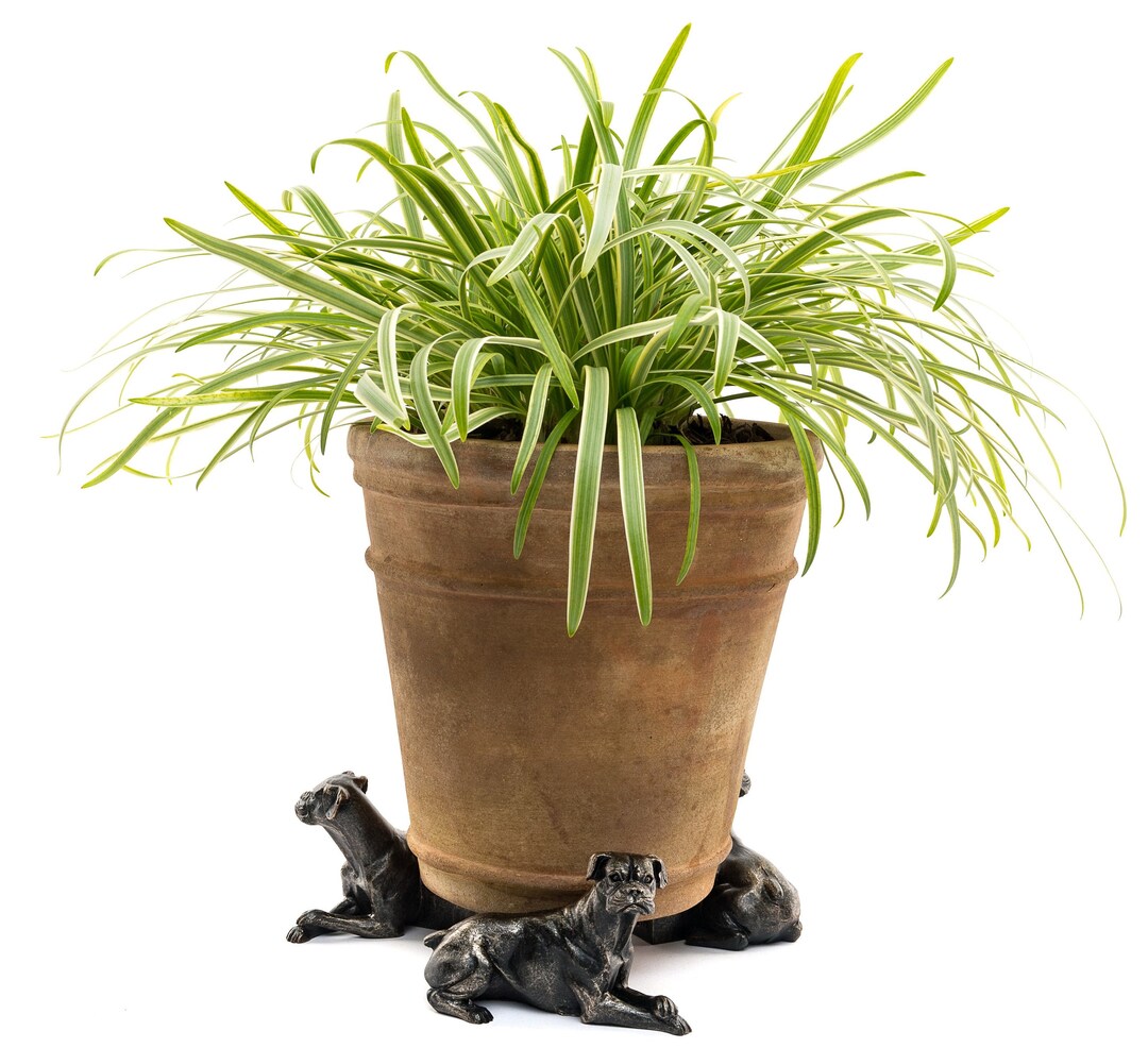 Boxer Dog Potty Feet Plant Pot Feet - Antique Bronze Coloured Boxer Dog ...
