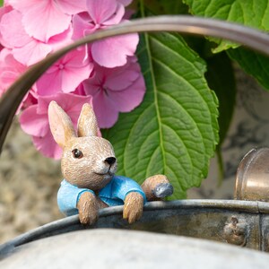 Peter Rabbit Pot Buddy - Beatrix Potter Peter Rabbit Pot Hanger - Gift ...