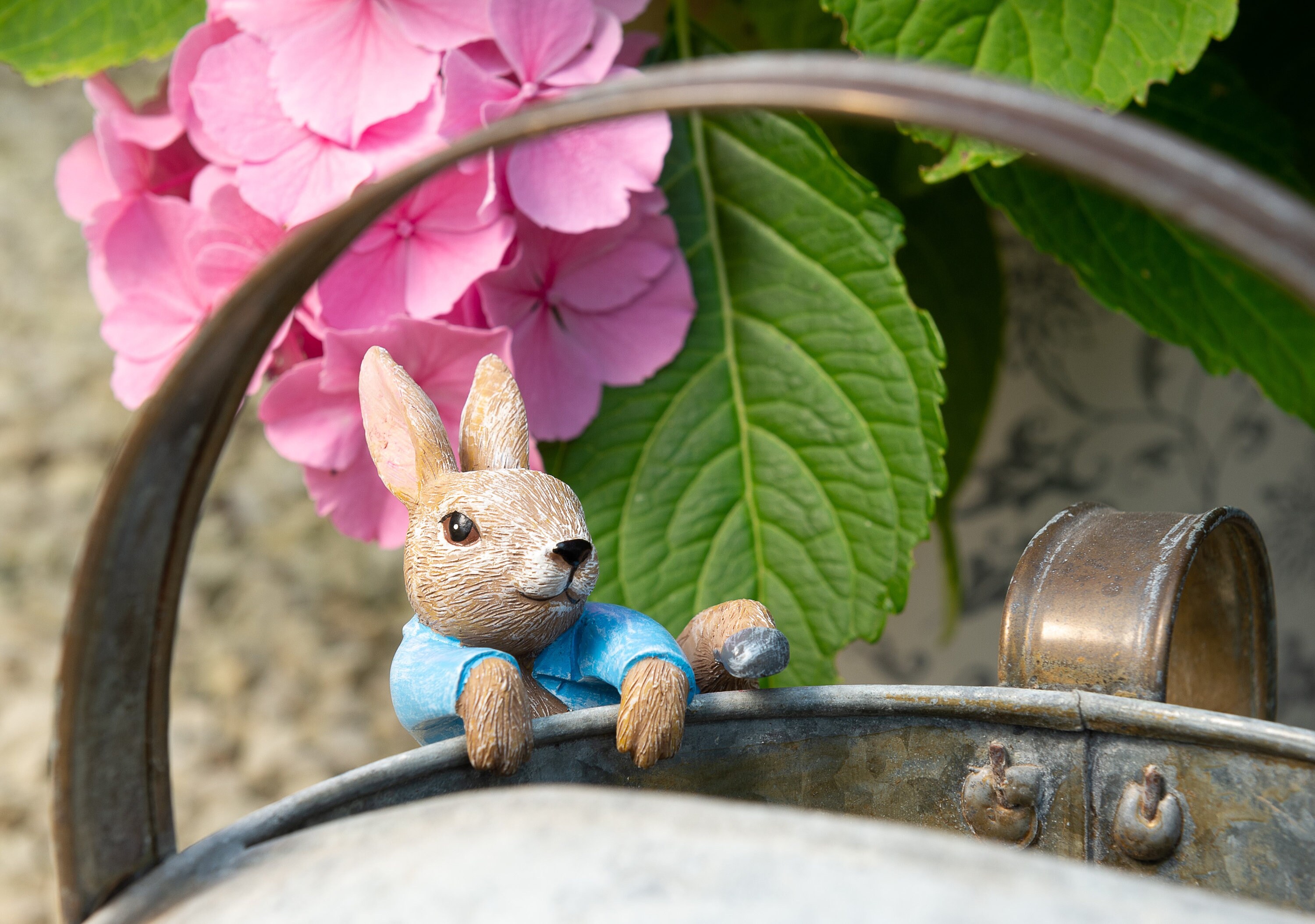 Peter Rabbit Pot Buddy - Beatrix Potter Peter Rabbit Pot Hanger - Gift ...
