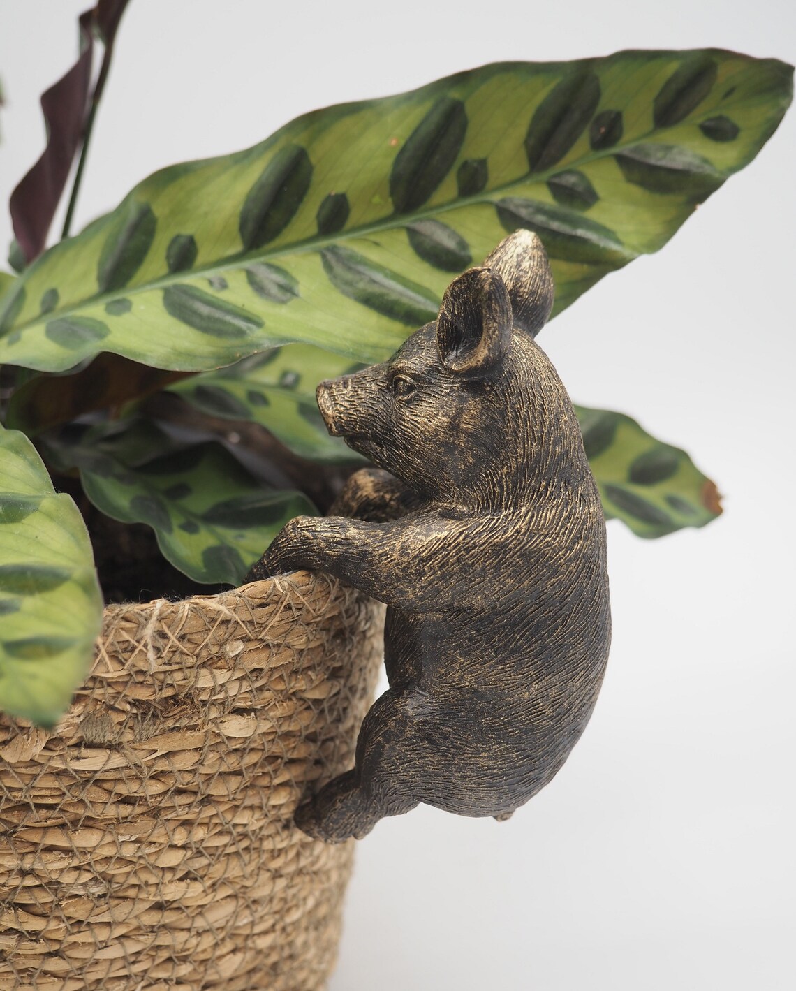 Pig Pot Buddies Plant Hanger - Etsy