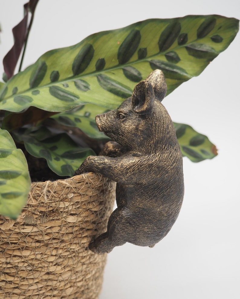 Pig Pot Buddies Plant Hanger - Etsy
