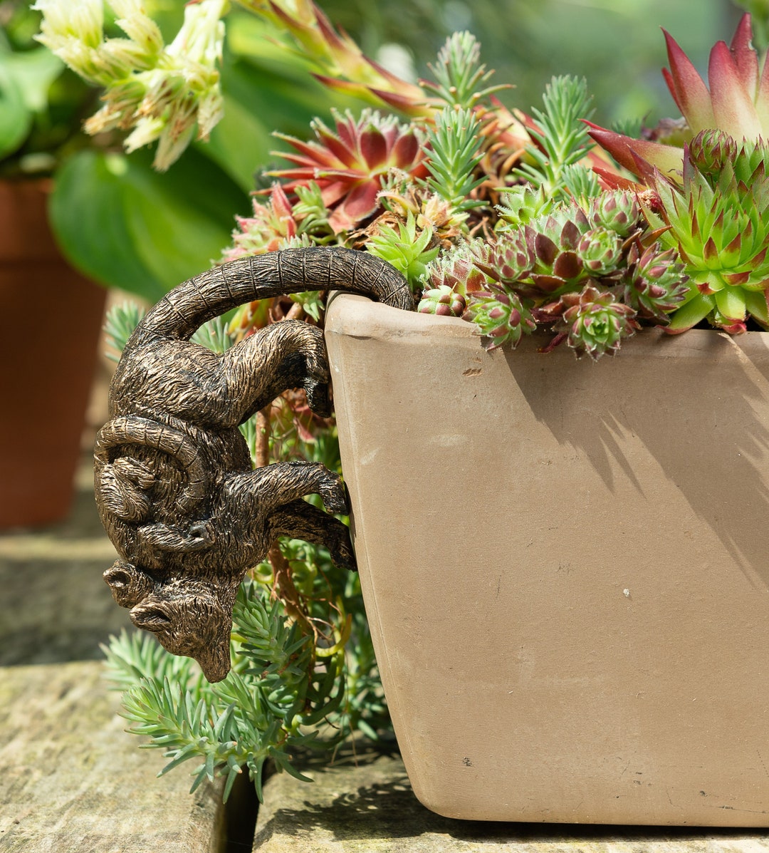 Charming Bronze Ring-tailed Lemur Pot Buddy - Garden and Home Accent - Etsy