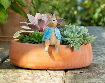 Peter Rabbit Gift | Etsy