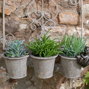 Frog Potty Feet & Pot Buddy Bundle: Antique Style Plant Pot Stand - Etsy