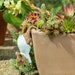Johnny Town-mouse Pot Buddy: Beatrix Potter Garden Decor - Etsy