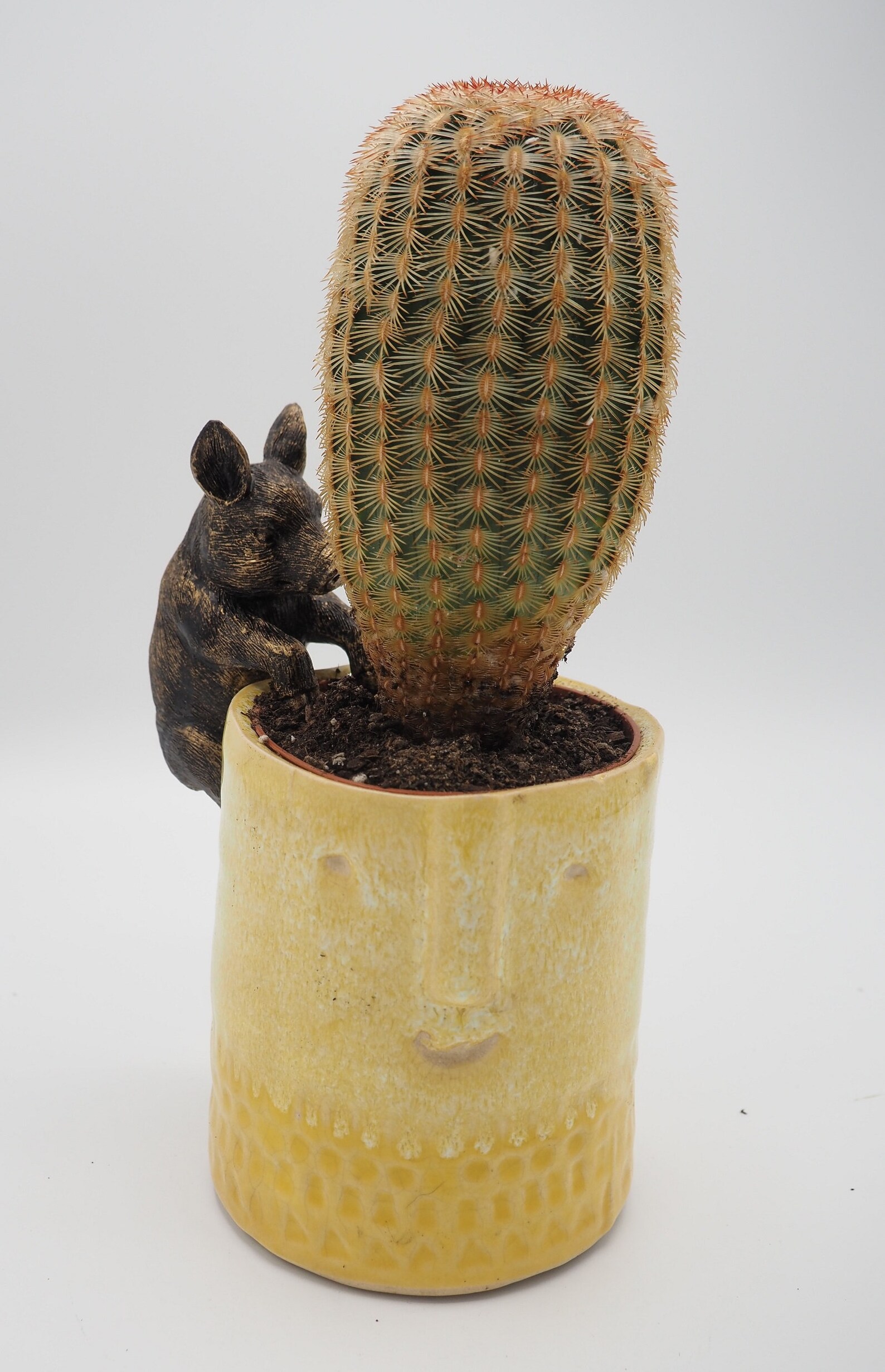 Pig Pot Buddies Plant Hanger - Etsy