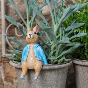 Peter Rabbit Pot Buddy Pot Hanger - Beatrix Potter - Gift Boxed Pot ...